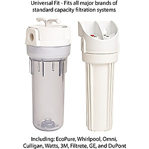 EcoPure EPW2B Whole House Replacement Filter, 2 Count (Pack of 1), White