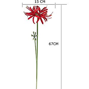 Qingriver 4 Stems 26.38'' Artificial Spider Lily Flowers Lycoris Radiata for Home Garden Decoration Red