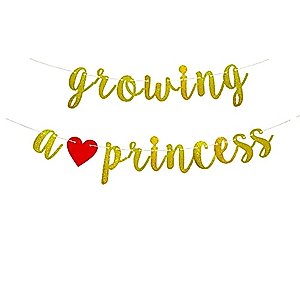 Growing A Princess Banner Baby Shower, Baby Sprinkle, a Girl Comes Pre-Strung Paper Gold Fancy