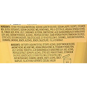 Garnier Whole Blends Honey Treasures Shampoo and Conditioner 12.5 Ounces each