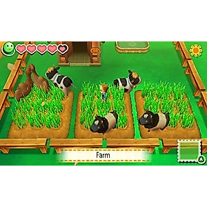 Story of Seasons - Nintendo 3DS