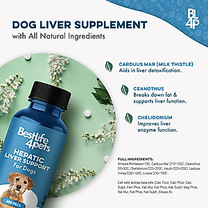 Hepatic Liver Support for Dogs - Dissolvable Homeopathic Liver and Digestive Canine Supplement for Liver Detox and Nutrient Absorption - 100% All Natural - Easy to Give, Free of Chemicals or Additives
