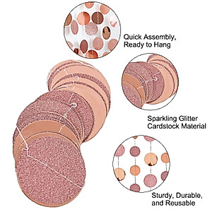 TONIFUL 4Pcs Gold Silver Party Decoration Circle Dot Star Garland Banner Bright Paper Streamer Hanging Decorations Glitter Star Bunting Banner Backdrop for Engagement Wedding Christmas Birthday