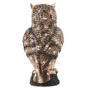 VA Resin Garden Owl Statue, Fake Owl, Fake Statue, Fake Owls, Garden Owl, Owl Décor, Realistic Owl, Owl Yard Décor, Owl.