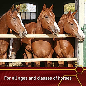 Vita Flex Pro E-5000 Premium Quality Horse Vitamin E, 4 lbs., 128-Day Supply