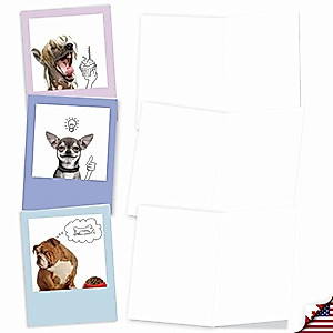 The Best Card Company - 10 Blank Dog Cards Assorted (4 x 5.12 Inch) - Adorable Boxed Animal Note Cards for All Occasions - Dogs & Doodles M6582OCB