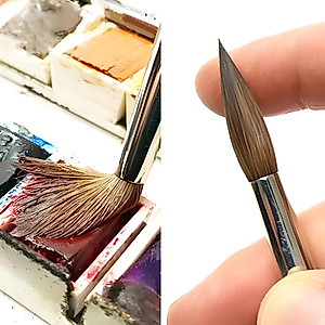 Sable Watercolor Brushes, Fuumuui 9pcs Detail to Mop Kolinsky Sable Brushes Round Pointed Professional Watercolor Brushes Perfect for Watercolor Gouache Acrylic Ink Painting