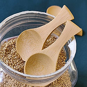 HYMAOME 4pcs Wooden Tea Spoons Little Salt Scoop Small Natural Wood Spice Jars Spoon for Scooping Jam/Ice Cream/Honey/Coffee/Sugar/Butter