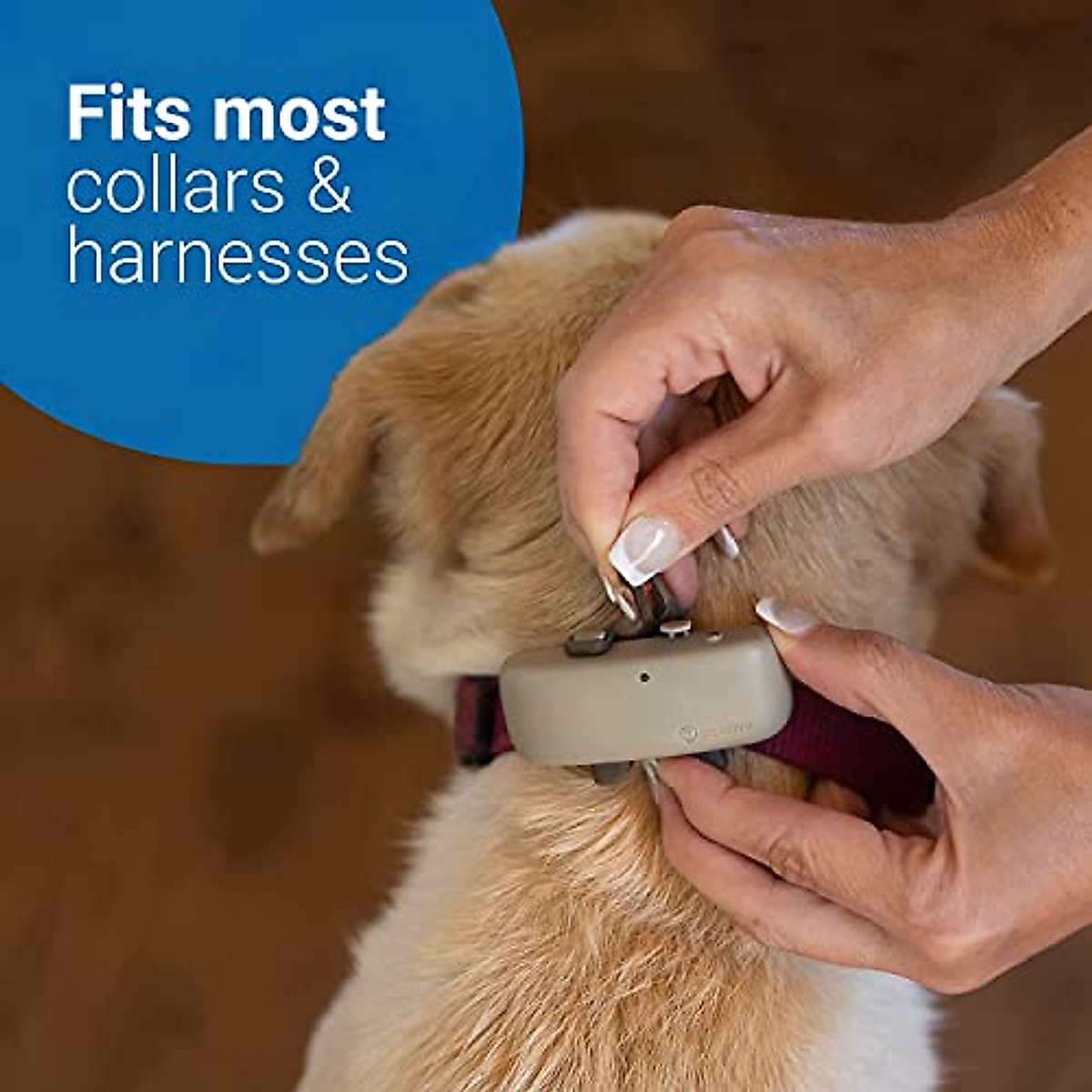 tractive GPS Pet Tracker for Dogs - Waterproof, GPS Location & Smart Activity Tracker, Unlimited Range, Works with Any Collar (Coffee), Beige, 3 Piece Set