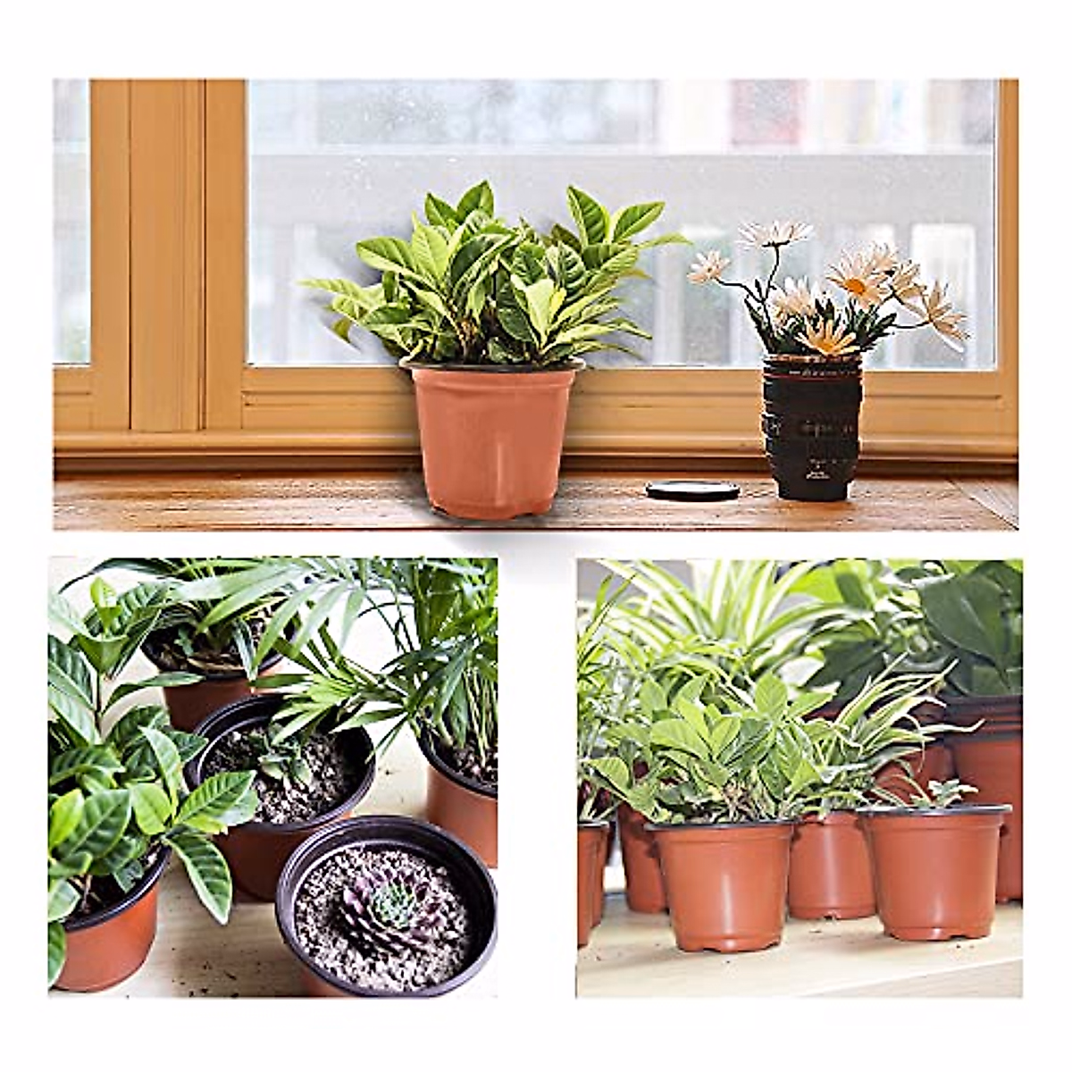 HECTOLIFE 200 Pcs 4 Inch Plant Nursery Pots,Plastic Seedling Pots,Seed Starting Pot Flower Plant Container for Succulents, Seedlings, Cuttings, Transplanting