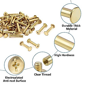 INCREWAY Phillips Screws, 30 Sets 5mm X 25mm Copper Plated Chicago Binding Screws Round Cross Head Stud Screw Posts Nail Docking Rivet Chicago Button, Brass Tone