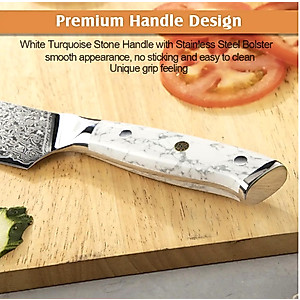 8-Inch Japanese Style Chef Knife – VG-10 Damascus Steel Blade, Ultra-Sharp High-Carbon Core, Ergonomic White Turquoise Resin Handle, Professional Luxury Kitchen Knife for Home Chefs, Includes Gift Box