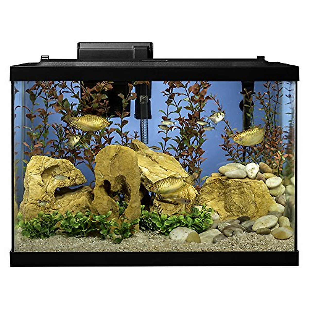Tetra Aquarium 20 Gallon Fish Tank Kit, Includes LED Lighting and Decor