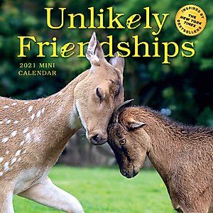 Unlikely Friendships Mini Wall Calendar 2021