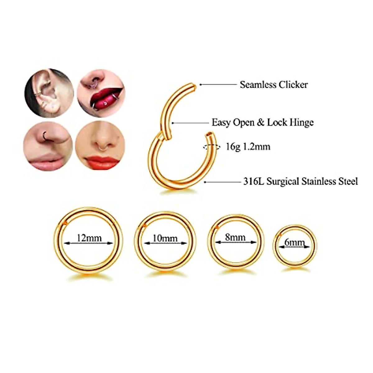 16G Hypoallergenic Nose Rings 316L Surgical Steel Piercing Jewelry Hinged Segment Ring Body Piercing Septum Nose Hoop Lip Rings Nose Helix Cartilage Rook Earrings (16G 4Pairs 6/8/10/12mm Gold)