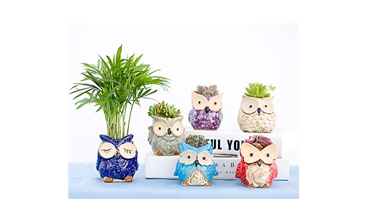Cute Ceramic Owl Succulent Pots - 6 Distinct Designs