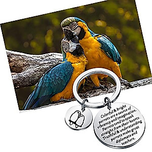 bobauna Parrot Parakeet Keychain Cockatiel Bird Jewelry Colorful And Bright Parrots Are A Source Of Vibrancy And Imagination (colorful bright parrot keychain)
