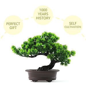 Artificial Bonsai Tree - Perfect for Decorating with Small Faux Plants - Indoor Silk Bonsai Replica with Pot - Zen-Inspired Design - 8.8 Inch Tall - Low Maintenance Greenery
