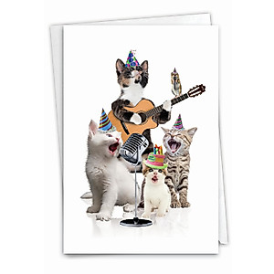NobleWorks - Kittens Birthday Greeting Card with 5 x 7 Inch Envelope (1 Card), Fun Animal Bday Celebration - Animal Bands - Cats C9508GBDG