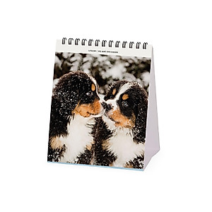 Legami - Table Calendar 2024, 12 Months and Annual Planner 2025, Space for Notes and Notes, Number of the Week, Zodiac Signs and International Holidays, Single Cellophaning, 12x14.5 cm