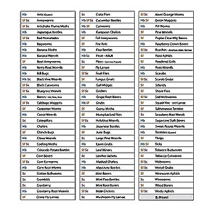Natures Good Guys Beneficial nematodes Heterorhabditis bacteriophora 5 Million