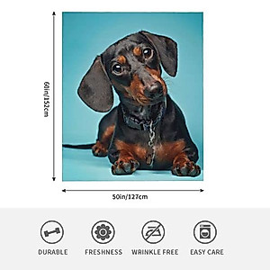 DOINBEE Dachshund Dog Blanket Dachshund Gifts Cute Black Dog Animal on Blue Throw Blankets for Men Women Fluffy Fleece Flannel Soft Cozy Sofa Chair Bed Couch Blanket Decor Travel Quilts 60"x50"