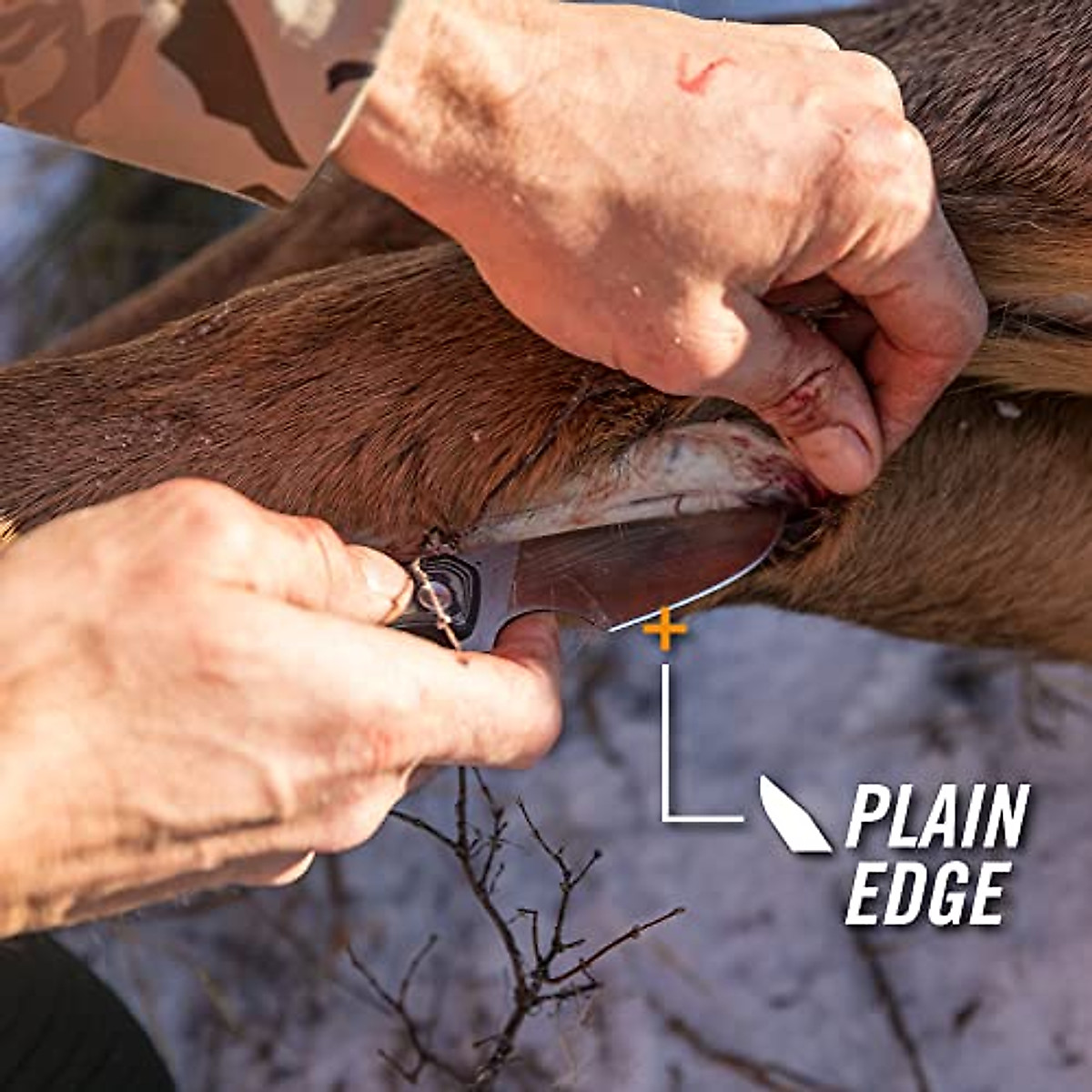 Gerber Gear Downwind Caper - Fixed Blade Knife with Sheath for Hunting Gear - Olive