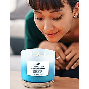 Large Citrus Patchouli Eucalyptus & Cedar Forest 3-Wick Candle - Highly Scented Natural Soy Candle for Home & Office 15.8 oz - Aromatherapy Stress Relief Candle, Refreshing Gift Candle for Women & Men