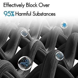 Ataraxia KN95 Face Mask Black