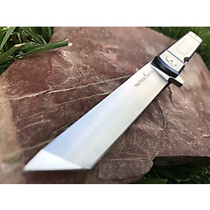 TACTICAL GEARZ Pocket Folding Knife w/Titanium Handle for EDC! D2 Steel Tanto Blade! (Tatsu Standard Blue)