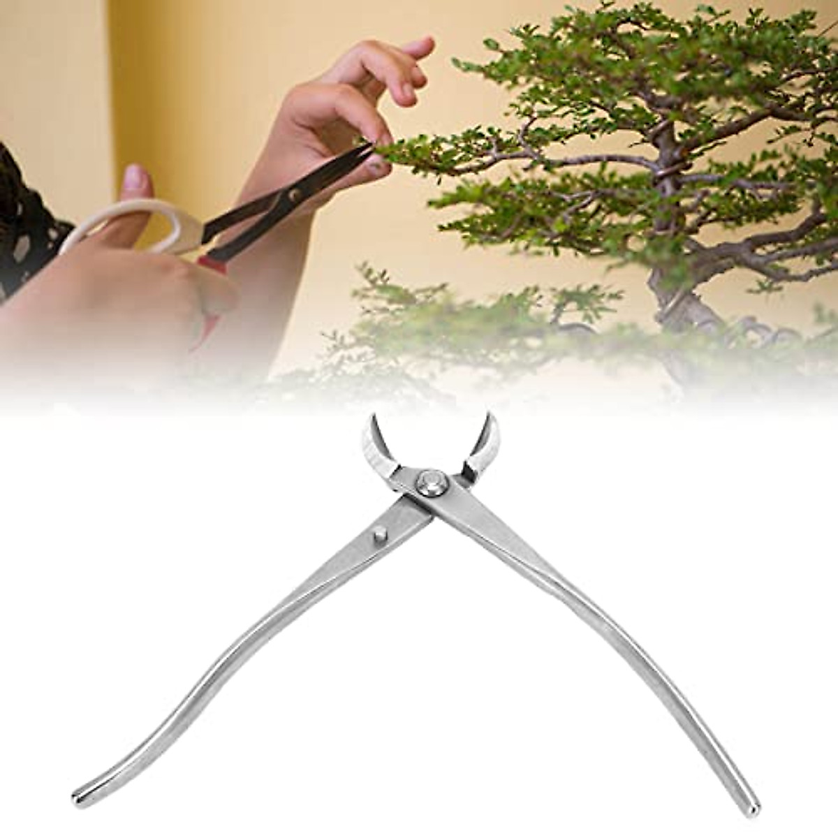 Socobeta Concave Root Cutter, Abrasion Resistant Bonsai Cutters Stainless Steel High Hardness Professional 21cm/8.27in Effective Rustproof for Gardening Tool