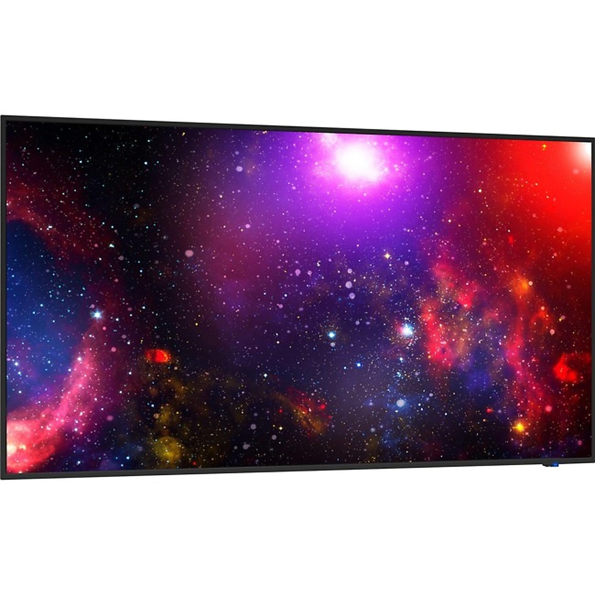 Sharp 55" 4K UHD Display with Integrated ATSC/NTSC Tuner