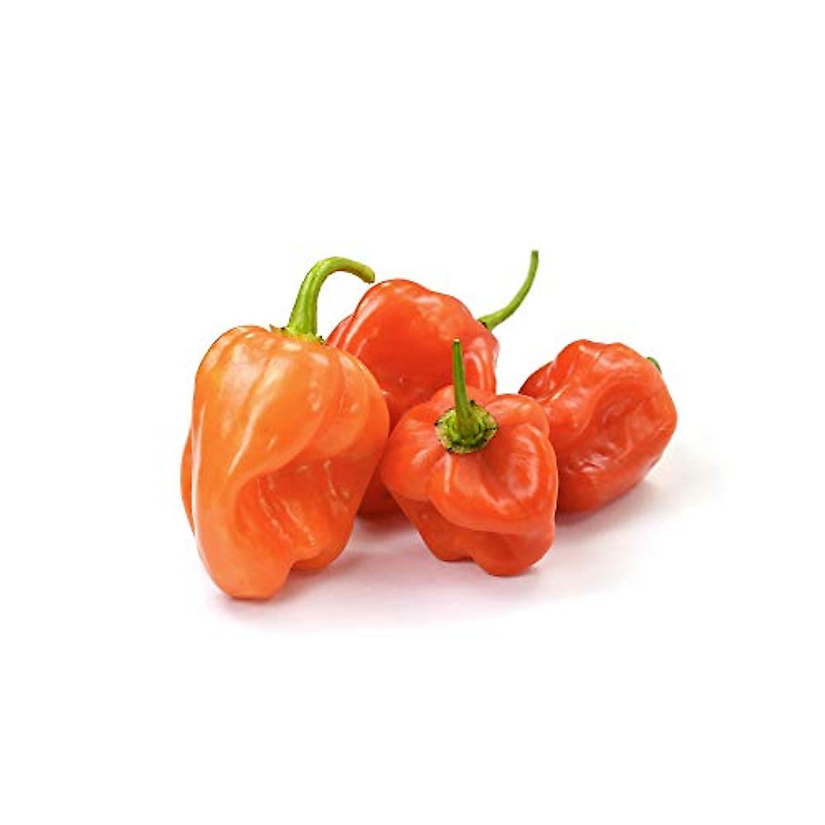Habañero Seeds for Planting, 25+ Heirloom Seeds Per Packet, Spicy & Hot Pepper, (Isla's Garden Seeds), Non GMO Seeds, Botanical Name: Capsicum chinense, Great Home Garden Gift