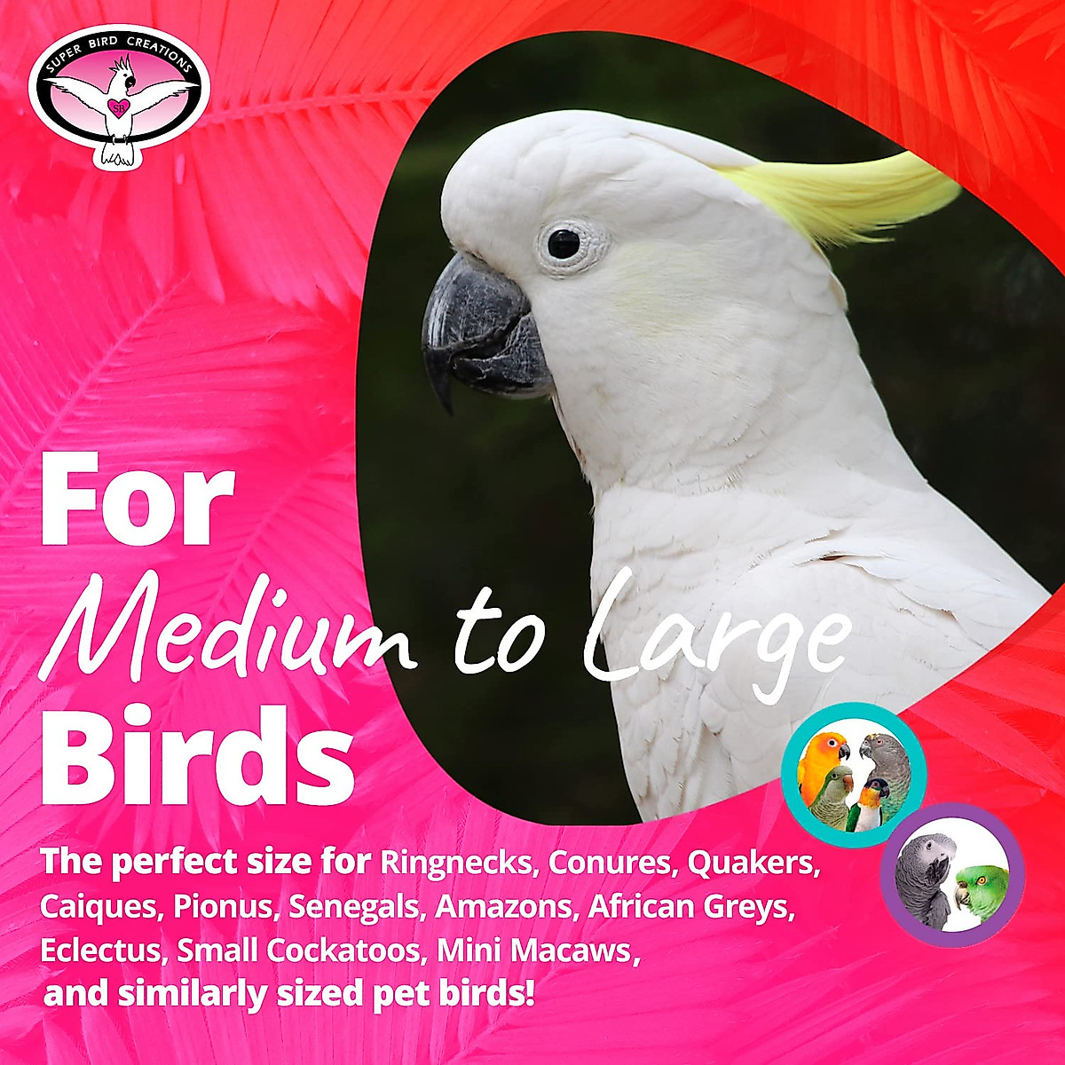 Super Bird Creations SB770 Puzzle Play, Medium/Large Bird Size, 13" x 4"