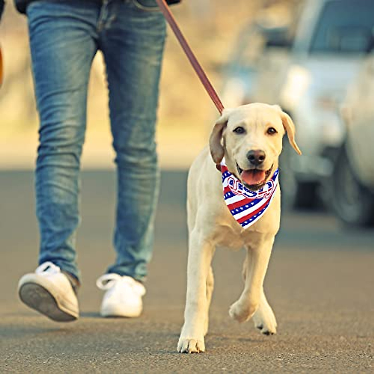 Dog Bandanas, NEVIRIGE Dog Bandana Scarf in 2 Pack, Triangle American Flag Pet Bandana Supply with Lanyard for Phone and Pet, Pet Accessories, S Size