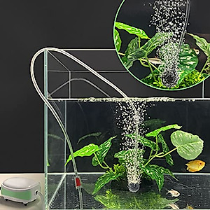 FEDOUR Aquarium Air Pump,1 Outlet Whisper Adjustable Fish Tank Aerator, Quiet Oxygen Pump with Accessories (Single Outlet)