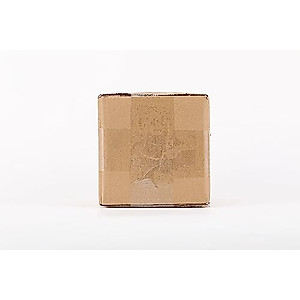 Huanyu 60mm Glass Petri Dish with Lids High Borosilicate Glass Petri Dishes Bacterial Culture Dishes for Lab Science Experiment (5pcs: 60mm)