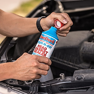 BlueDevil 00209 Pour-N-Go Head Gasket Sealer - 16 Ounce