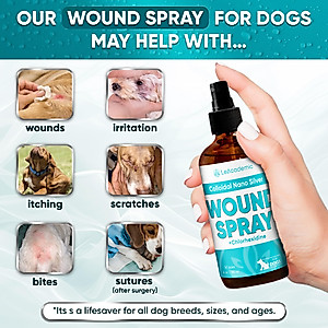 Wound Care For Dogs with Colloidal Silver | Dog Wound Spray | Dog Wound Care and Skin Support | + Chlorhexidine | Bites, Scratches, Irritations | Wound Spray for Dogs is Great With A Dog Cone | 4 Oz