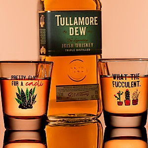 4 Pieces Plant Succulent Cactus Shot Glasses Plant Lover Wine Glass Succulent Cactus Present Mug Christmas Funny Clear Mug Glass for Women Girls, 4 Styles