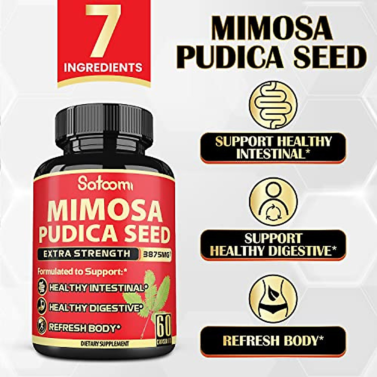 Natural Mimosa Pudica Seed Capsules - 7 Herbs - Equivalent to 3875mg with Oregano, Garlic, Neem Leaf, Black Walnut Powder, Clove Powder, Guduchi Powder - 1 Pack 60 Capsules for 2 Months