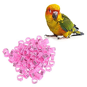 luosh Leg Number Bird Bands,100 Pieces Leg Rings for Canaries Birds Chicken Quail Dove Pigeon Foot Rings Training Supplies,10mm