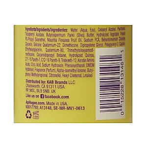 ApHogee Curlific Moisture Rich Leave-In 8oz