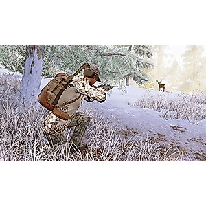 Hunting Simulator (Switch)