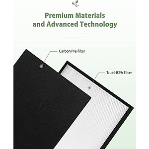 Future Way 2-Pack FLT5900 Filter J Compatible with Germ Guardian AC5900WCA Air Purifier, with 4 Carbon Filters, Part# FLT5900