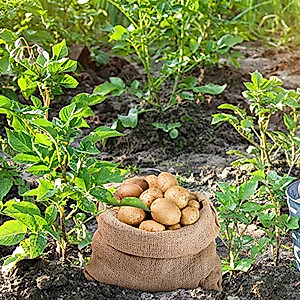 DEDEMCO 3 PCS Burlap Storage Sacks for Gardening,20x27.5 Inch Burlap Potato Sack Race Bags,Planting Growing Bags,Large Food Grade Burlap Sacks for Food Storage