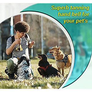 ARSUK Hand Bell for Adults, Wooden Handle Large Ringing Call Bells for Sick Person, Seniors, Teachers, Patients, Wedding, Santa, Christmas, Services 23.8 x 10.7 x 10.5, 240gm (4" Brass)