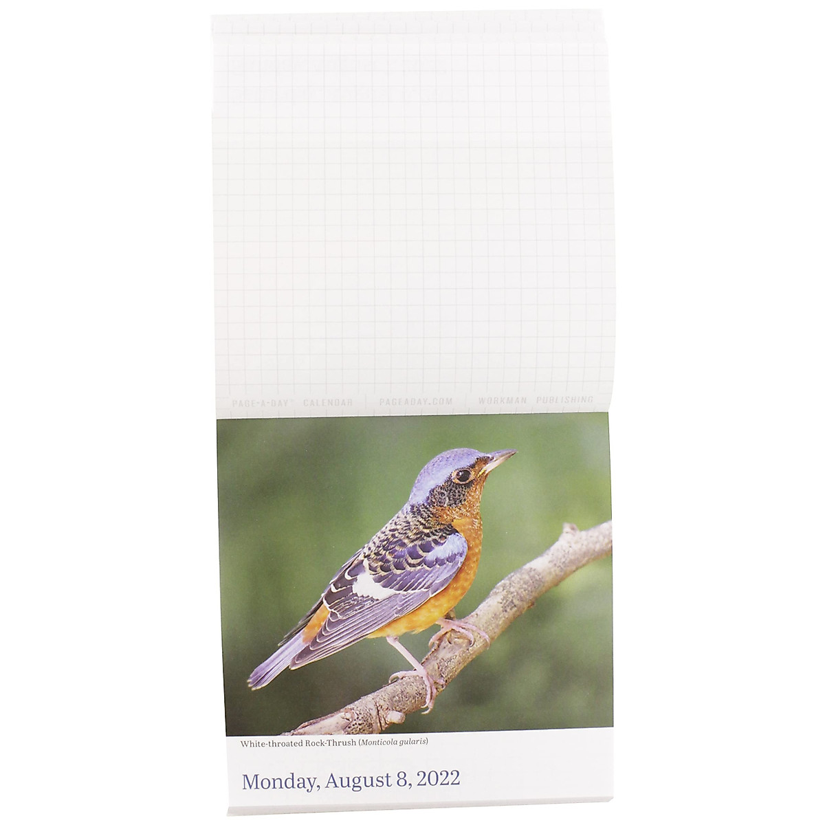 Audubon Birds Page-A-Day Calendar 2022