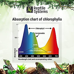 Reptile Systems New Dawn LED Compact Lamp, 6.69”: 6500K, 13W – Full Spectrum LED Luminaire Lighting for Natural Plant Growth in Terrariums, Vivariums, Hydroponics & Aquaponics