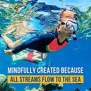 STREAM 2 SEA SPF 30 Mineral Sunscreen Biodegradable and Reef Safe Sunscreen, 3 Fl oz Non-Greasy and Moisturizing Mineral Sunscreen For Face Protection and Body Against UVA and UVB